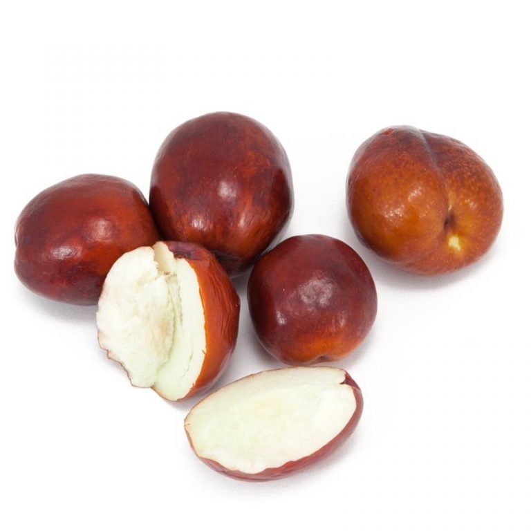 Jujube | Tous les fruits